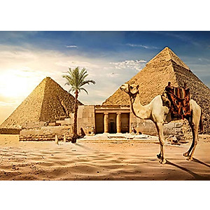 LYLYCTY 7x5ft Pyramid Backdrop Ancient Civilization Country Egypt Pyramid Camel Photography Backdrop Photo Photography Background Props Studio Indoor Decorations LY102