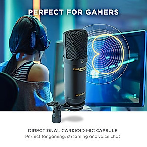 Marantz Professional MPM-1000U | Large Diaphragm USB Condenser Microphone for Podcasting & Recording, Including USB Cable & Mic Clip, Black