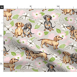 Spoonflower Fabric - Dachshunds Dogwood Blossoms Pink Large Dachshund Dogs Cute Gray Year Printed on Petal Signature Cotton Fabric by The Yard - Sewing Quilting Apparel Crafts Decor