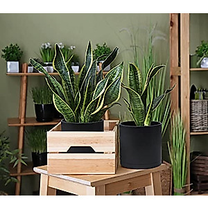 8 Inch Plastic Planter Pots for Plant Pot with Drainage Hole and Seamless Saucers, Black Color, 74-O-S-2