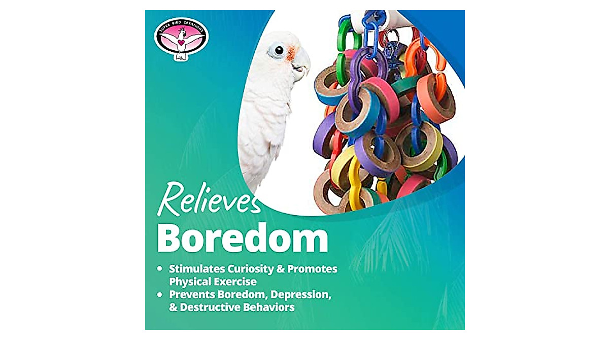 Super Bird Creations Bagel Cascade Toy for Large Birds