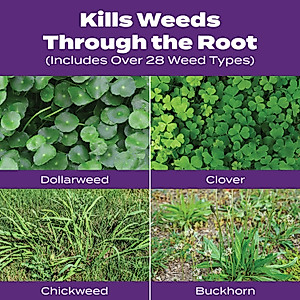 Scotts Turf Builder Bonus S Southern Weed & FeedF2, Weed Killer and Lawn Fertilizer, 5,000 sq. ft., 17.24 lbs.