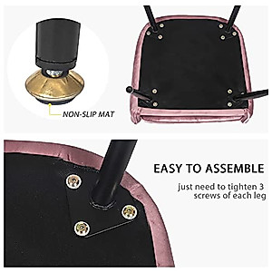 Decent Home Velvet Dining Chair Set of 2 Mid-Back Accent Arm Chairs with Black Metal Legs Modern Leisure Upholstered Seat Living Room Chair Home Desk Chair (Pink-2PCS)