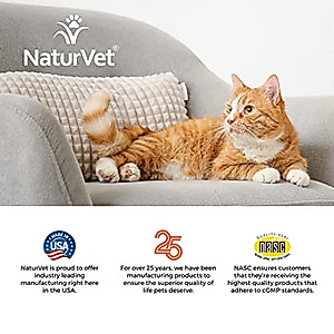 NaturVet – Digestive Enzymes For Cats Plus Probiotics – 60 Soft Chews – Helps Support Diet Change & A Healthy Digestive Tract – Aids in the Absorption of Vitamins & Minerals – 30 Day Supply