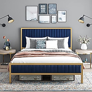 HIFIT Bed Frame Queen Size, Queen Bed Frame with Headboard, Heavy Duty Metal Foundation, Upholstered Bed Frame with Velvet Tufted Headboard, Wood Slat Support, No Box Spring Needed, Gold & Navy Blue