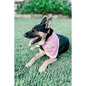 Everything Tailed Big Sister Dog Bandana for Pregnancy Announcement, Handkerchief and/or Scarf Accessory for Dog, Warm Pink Color, Fits Medium to Large Dogs, Gender Reveal Prop for Expecting Mothers