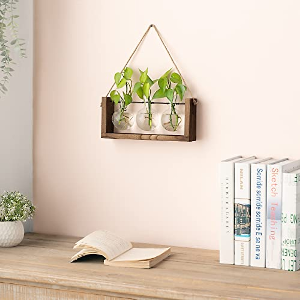 Dahey Planter Propagation with Wooden Stand, Desktop Plant Terrarium for Hydroponic Planter Station Wall Hanging Mounted Propagation Vase Home Garden Office Decoration Plant Lover Gifts, 3 Vase