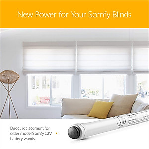 Two 12V Reloadable Battery Wands with Connector for Dual Battery Replacement