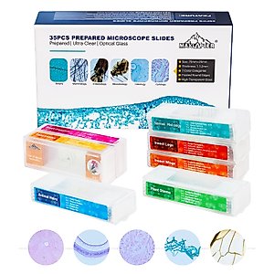 35 Microscope Slides with Specimens for Kids, Prepared Microscope Slides Set with Plants Animals Insects, Microscope Slides for Kids Students Homeschool Basic Education, Best Gift for Kids