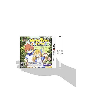 Hometown Story - Nintendo 3DS