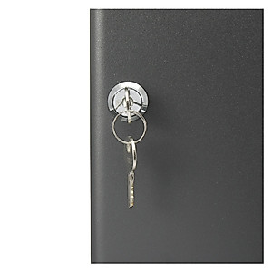 Hardware Tools Kit Wrench All Purpose Tool Box 36Pcs Key Cabinet Storage Tool Box Lockable Security Metal Iron Hook Box Wall Mounted Case Professional Watch Repair (Color : Black)