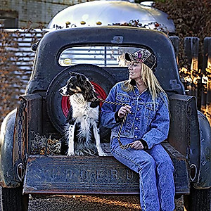 Mendota Pet Slip Leash - Dog Lead and Collar Combo - Made in The USA - Black, 3/8 in x 6 ft - for Small/Medium Breeds