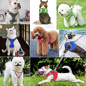 JSXD Small Dog Harness,Puppy Harness,Adjustable Leash and Collar Set for Small Dogs,Step-in Dog Harness,3M Reflective Pet Dog Vest for Small Medium Puppy