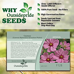 Outsidepride Cosmos Bipinnatus Pinkie Garden Cut Flowers - 1000 Seeds