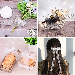 Hapeper 2 Rolls 1 Inch Sheer Organza Chiffon Ribbons for Gift Wrapping DIY Crafts Party Decoration, 50 Yards/ Roll (Light Purple, Light Blue)