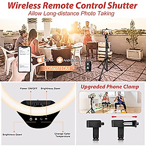 Eicaus 10'' Ring Light with 62'' Tripod Stand and Phone Holder, Selfie Phone Ringlight with Remote Great for Makeup, Video Call, and Live Streaming Black