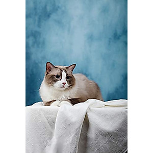 Kate 5x7ft/1.5m(W) x2.2m(H) Blue Headshot Background Blue Texture Portrait Photography Microfiber Backdrop Photo Studio Props