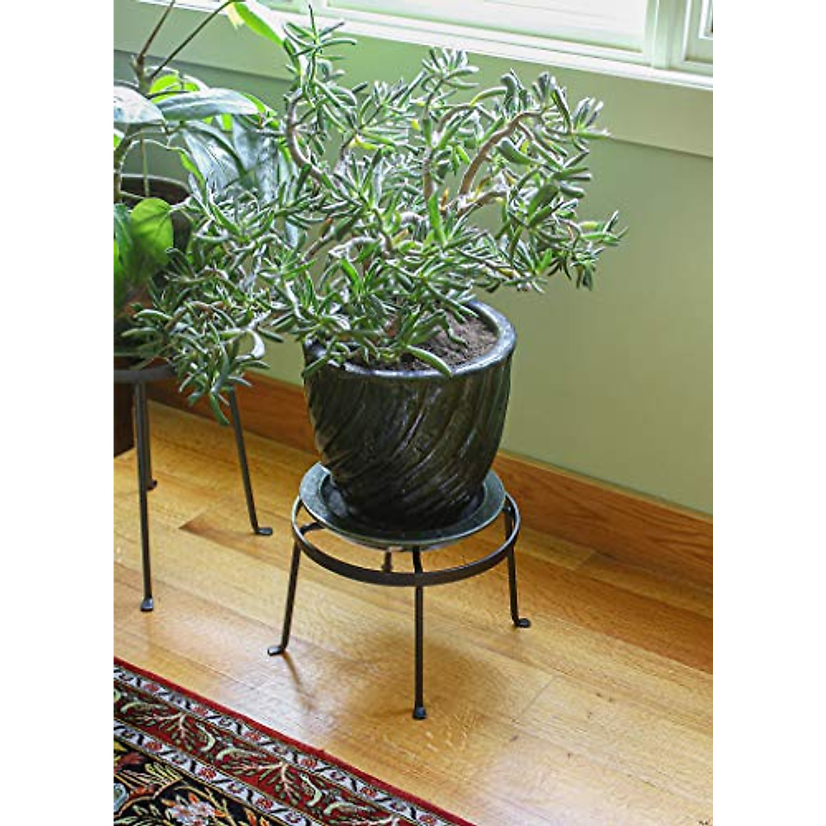 Achla Designs FB-30 Argyle Wrought Iron Plant Stand, 8-inch H, Graphite