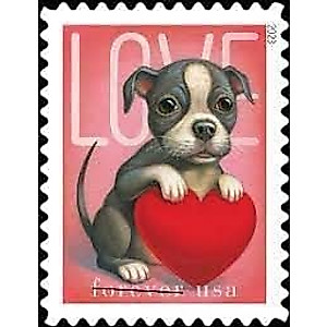 Love 2023 Forever First Class Postage Stamps - Valentine, Wedding, Celebration, Anniversary, Romance, Party 1/2 Sheet (10 Stamps)