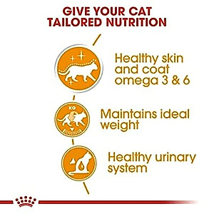 Royal Canin Feline Multipack Intense Beauty Cat Food in Jelly 12x85g (1.02kg)