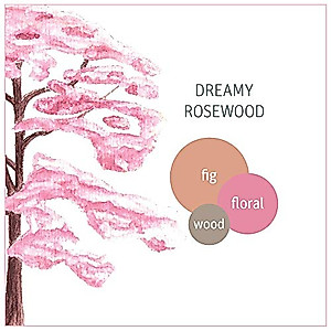 Grab Green Baby Witch Hazel Soothing Wipes, 96 Wipes, Dreamy Rosewood Scent, Plant and Mineral Based, Biodegradable, Soothe Common Skin Irritations Such as Diaper Rash, No Alcohol, Packaging May Vary