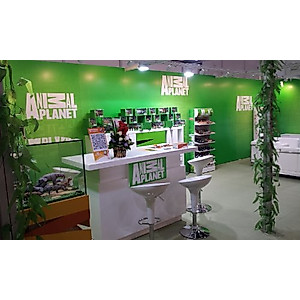 MOJO Woolly Mammoth Adult 1:20 Scale Realistic Prehistoric Extinct Animal Collection Hand Painted Toy Figurine