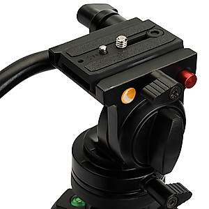 Celestron – Regal Premium Tripod – Sturdy Aluminum Tripod with Extendable Center Column – Interchangeable Feet to Fit Your Terrain – Use for Spotting Scope, Binocular, Camera, and Small Telescope