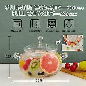 XJLVSV 2450ML/83oz Glass Clear Saucepan with Lid,Best Handmade Easy Clean Heat Resistant Glass Cooking Pot for Noodles, Soup, Cereals, Fruits