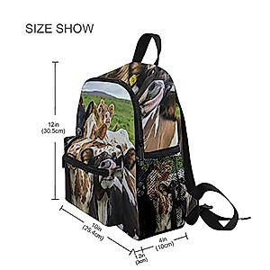 Kids Backpack Farm Animal Cow Cattles Toddlers Schoolbag with Chest Strap & Bottle Holder Rucksack for Preschool Nursery Girls Boys, Lightweight