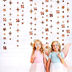 52Ft Rose Gold 14th Birthday Decorations Number 14 Circle Dot Star Garland Metallic Hanging Streamer Banner Backdrop for Girls Happy 14 Year Old Fabulous Birthday Fourteen Anniversary Party Supplies