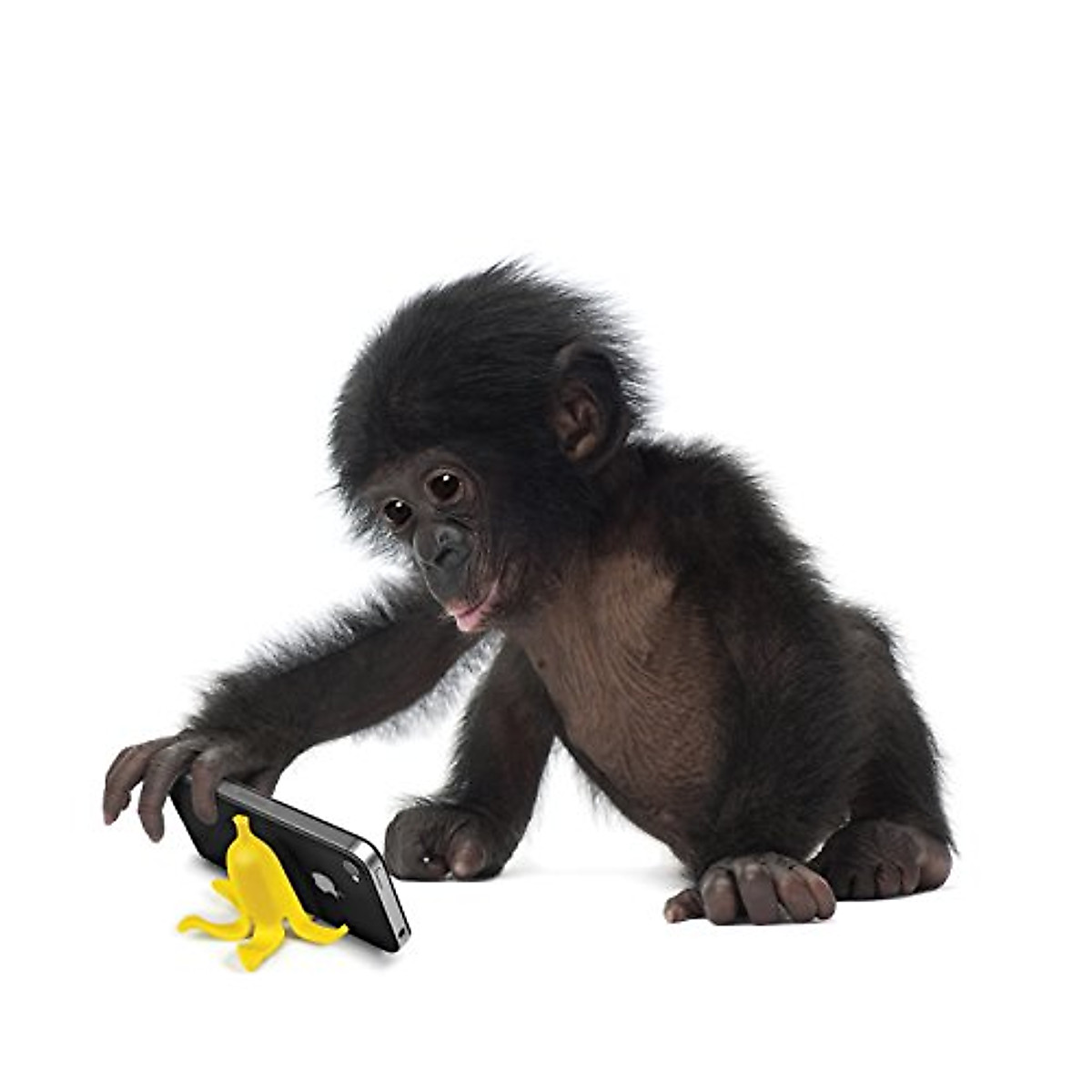 Fred Banana Stand Phone Stand, BASTA