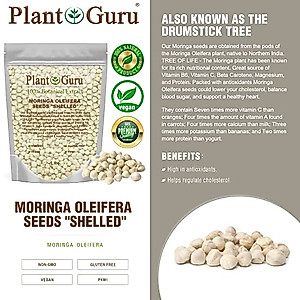 Moringa Seeds Kernel Shelled 16 oz. / 1 lb. - Clean PKM1 Variety - Edible - Moringa Oleifera - Malunggay - Semillas De Moringa - Drumstick Tree - Non-GMO - 2000 to 2400 Seeds Approx.