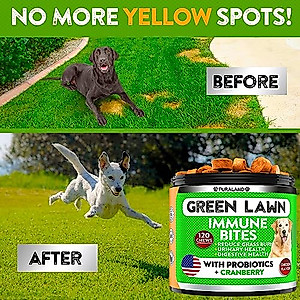 FURALAND Grass Burn Spot Chews for Dogs - Dog Pee Lawn Spot Saver Caused by Dog Urine - Grass Treatment Rocks - DL-Methionine + Digestive Enzymes - Dog Urine Neutralizer for Lawn - Soft Treats