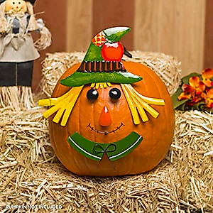 Alpine Corporation LAZ156A Alpine Seasonal Kit Harvest Pumpkin Decor, 10 x 0.2 x 8, Multi