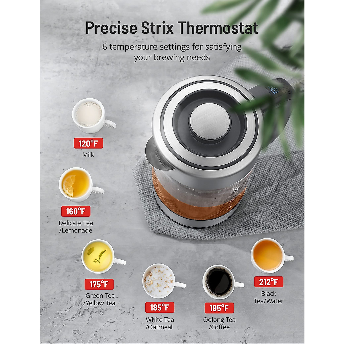 Paris Rhône Electric Kettle, Tea Kettle with 6 Temperature Settings, 1.7L Glass & Stainless Steel Heater, Touch Control, LED Screen, Keep Warm Mode, Boil-Dry Protection, for Milk, Tea, Coffee