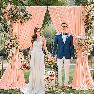 10x10 Peach Backdrop Curtain for Parties Baby Shower Wrinkle Free Peach Photo Curtains Backdrop Drapes Fabric Decoration for Wedding Birthday Party 5ft x 10ft,2 Panels