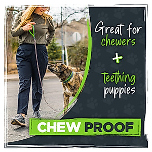 Mighty Paw Chain Dog Leash - Anti Bite Pet Lead - Stainless Steel Links - Reflective Padded Handle - Carabiner Clip - Chew Proof for Strong Dogs - 4’ Dog Walking Chain Leash - Leash Metal (Grey/Green)