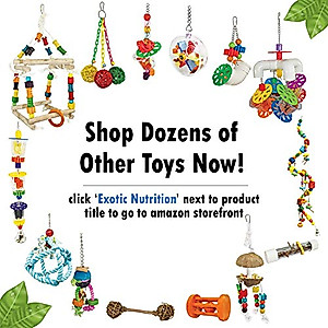 Exotic Nutrition Rolling Forage Cylinder - Fun & Unique Forage Toy - Sugar Glider, Hedgehog, Squirrel, Chinchilla, Prairie Dog, Degu, Chicken, Bird, Skunk, Rabbit, Hamster, and Other Small Animals