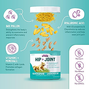 Health Extension Dog Health and Nutrition Bundle - Multivitamin (30 Tablets), Little Bites Dry Dog Food Chicken & Brown Rice Recipe (4 Lbs), Joint & Hip Supplement Cheese Flavored Powder (16oz)