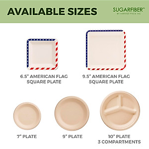 [500 COUNT]Sugarfiber by Harvest Pack 10-inch Round Disposable Compostable Paper Plates, Heavy-Duty Natural Bagasse Biodegradable Plate, Made From Eco-Friendly Sugarcane Plant Fibers