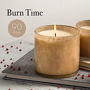 LAFCO New York Signature Scented Candle - Vetiver Sage, Country House (15.5 oz)