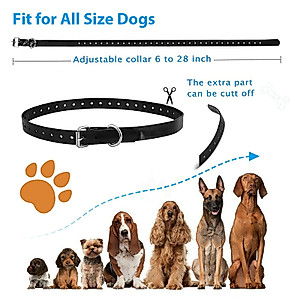 Electric Dog Fence,Aboveground Underground Pet Containment System,Covers up to 3/4 Acre,with Waterproof/Rechargeable Training Collar,Shock/Tone Correction,for 123 Dogs(650 Feet Wire),for3dogs