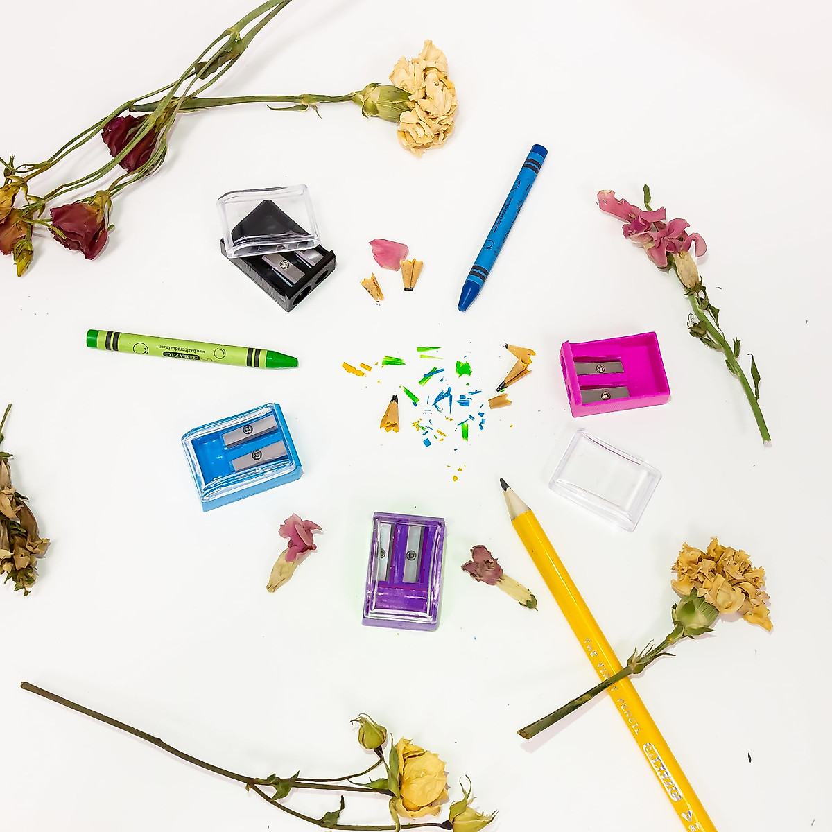 BAZIC Products Dual Blades Square Sharpener w/Receptacle (4/Pack), Red/Green/Blue/Black