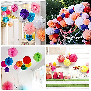 Daily Mall 10Pcs 8 inch Art DIY Tissue Paper Honeycomb Balls Party Partners Design Craft Hanging Pom-Pom Ball Party Wedding Birthday Nursery Decor (Colorful)