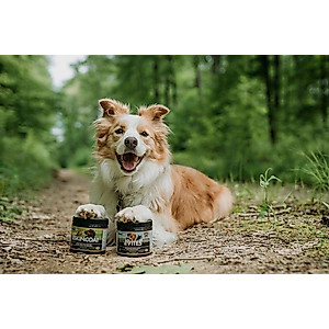 BiologicVET - BioVITES Multivitamin Powder for Cats & Dogs, Essential Vitamins, Minerals & Enzymes, Supports Your Pets Digestion and Immune System, 53-Day Supply for 30-lb. Animal, 14-oz. Powder