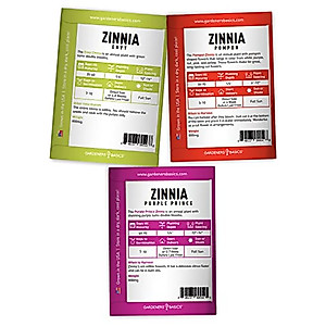 Zinnia Seeds for Planting Outdoors Flower Seeds (5 Variety Pack) Thumbelina, Lilliput, Envy, Purple Prince and Pompon Varieties for Butterflies, Bees, Pollinators Wildflower Seed by Gardeners Basics