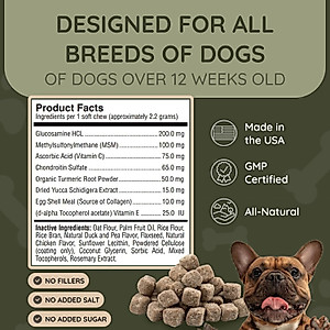 Asher House Wellness Hip and Joint Supplement for Dogs - Natural Soft Chew with MSM, Chondroitin, Glucosamine, Vitamins - Promotes Joint Health & Pain Relief Senior & All Dog Breeds, Large, 120 Chews