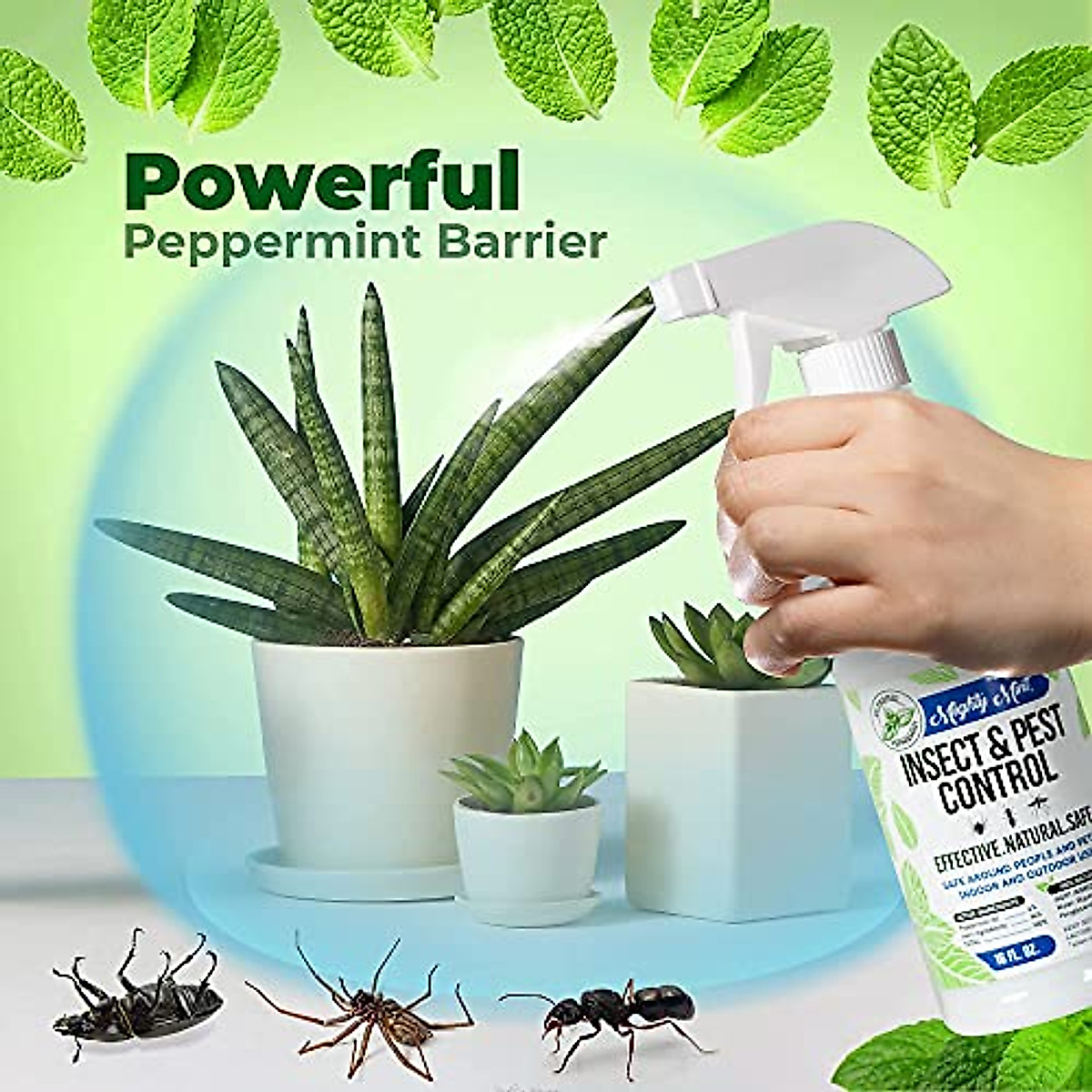 Mighty Mint Peppermint Oil Insect & Pest Control Spray with Concentrate - Makes 1 Gallon