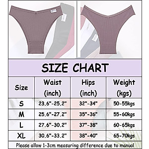 FINETOO 10 Pack Womens Cotton Underwear Sexy Stretch Bikini Panties Low Rise Hipster Ladies Soft V-Waist Cheeky(L)