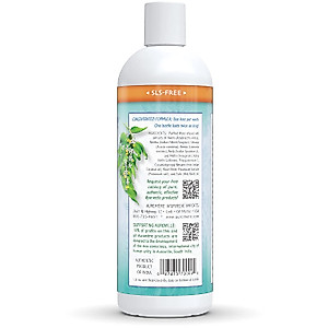 Auromere Ayurvedic Shampoo, Neem + 5 - Vegan, Cruelty Free, Non-GMO, Natural, Gluten Free, Sulfate Free, Paraben Free for Normal to Oily Hair (16 fl oz), 1 Pack